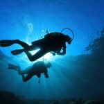 Double Diving Adventure Exploration for Certified Divers - Why This Tour Might Be Perfect for You