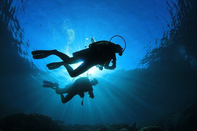 Double Diving Adventure Exploration for Certified Divers - Why This Tour Might Be Perfect for You