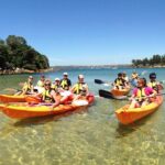 Double Kayak Hire - 4 Hours - The Itinerary: What to Expect