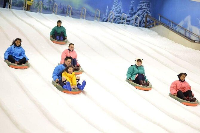 Dream World & Snow Town Theme Park Ticket - Hotel Pickup & Lunch - Who Will Enjoy This Tour?