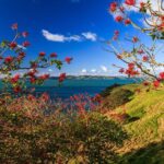 Duder Regional Park Half-Day Walking Tour - Authentic Experiences and Hidden Gems