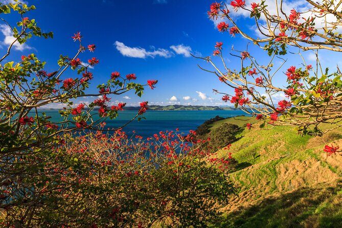 Duder Regional Park Half-Day Walking Tour - Authentic Experiences and Hidden Gems