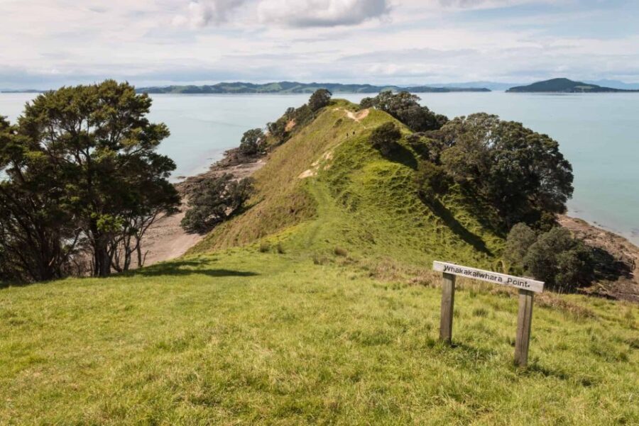 Duder Regional Park Walking Tours - Who Will Love This Tour?