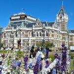 Dunedin and Otago Peninsula Tours For Up To 4 people - What Makes This Tour Stand Out?