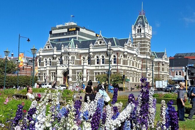 Dunedin and Otago Peninsula Tours For Up To 4 people - What Makes This Tour Stand Out?