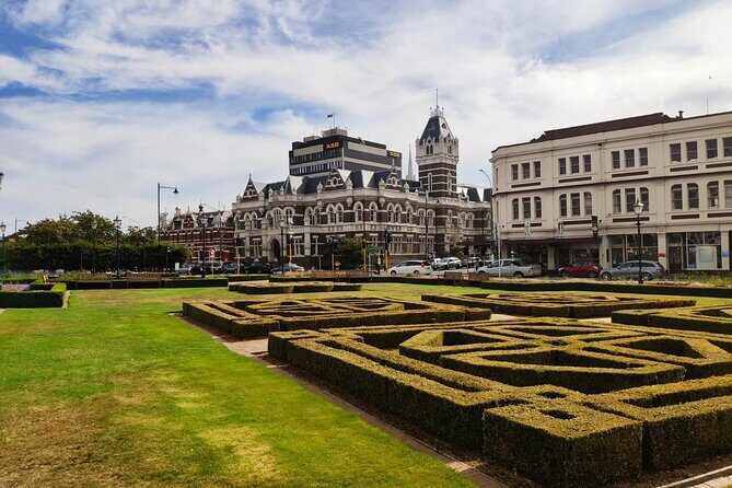 Dunedin City and Coastal Views 3-Hour Small-Group Guided Tour - What’s Included and What’s Not