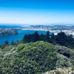 Dunedin City Highlights, Otago Peninsula Scenery & Albatross Guided Tour - What We Love About This Tour