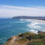Dunedin City & Otago Peninsula Scenery Day Tour - Coastal Scenic Lookouts and Wildlife Encounters