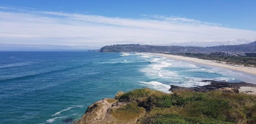 Dunedin City & Otago Peninsula Scenery Day Tour - Coastal Scenic Lookouts and Wildlife Encounters