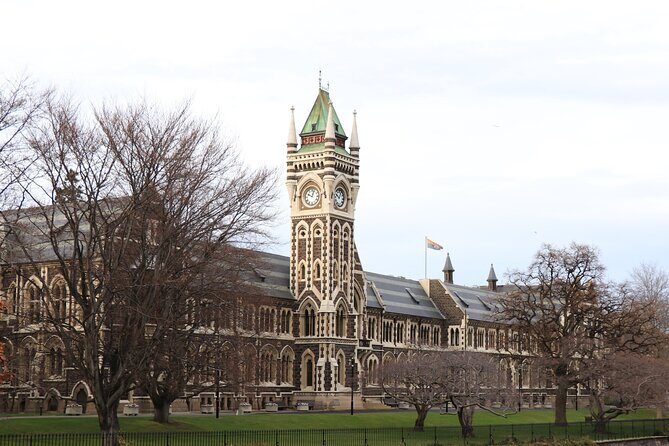 Dunedin City, Wildlife and Larnach Castle - In Summary