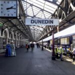 Dunedin: Small Group City Highlights Tour - The Sum Up