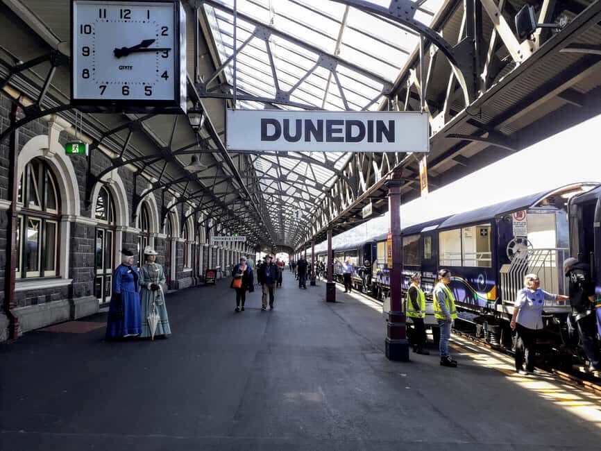 Dunedin: Small Group City Highlights Tour - The Sum Up