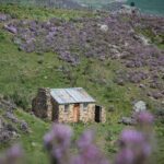 Dunedin to Queenstown One Way Including Taieri Gorge Train - The Value of the Experience
