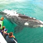 Dunsborough Whale Watching Eco Tour - The Detailed Itinerary and What to Expect
