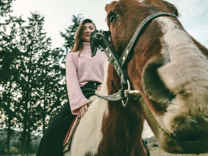 Dushanbe: Park Pobeda and Horse Riding Tour - The Horseback Riding Experience