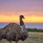 Dusk Discovery Tour - Is This Tour Right for You?