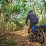 Dwellingup: Munda Biddi Explorer - The Highlights of the Tour