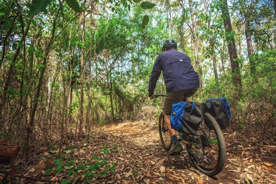 Dwellingup: Munda Biddi Explorer - The Highlights of the Tour