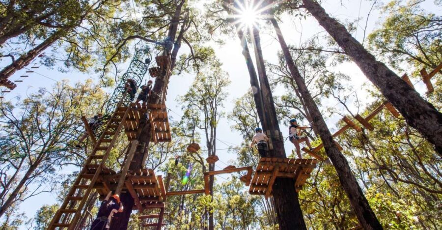 Dwellingup: Tree Ropes Course - Who Will Love This?