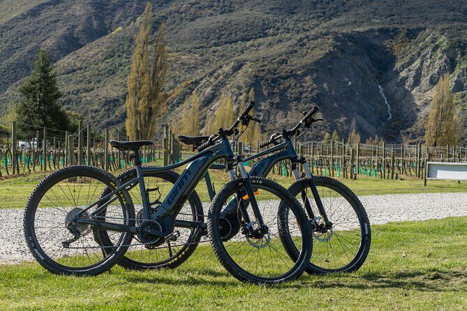 E-Bike Adventures Through the Wineries in Gibbston - Final Thoughts: Is It Worth It?