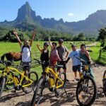 E-Bike Moorea Electric Bike Belvedere Tour (2 people minimum) - Practical Details and Considerations