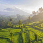 EAST BALI TOUR EXCLUSIVE GATE HEAVEN LEMPUYANG TEMPLE - Who Is This Tour Best Suited For?