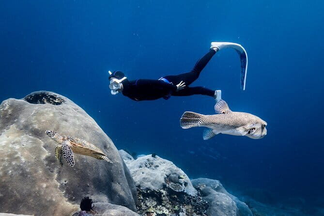 East Coast of Nusa Penida Private Snorkeling - A Few Considerations