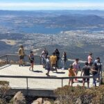 Easy Bike Tour - Mt Wellington Summit Descent & Rainforest Ride - Included and Not Included