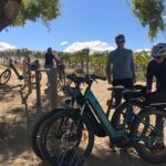 ebike tour lake Dunstan wine tasting - Wine Tasting & Food: Savoring Central Otago