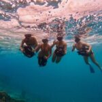Eco Friendly Sea Scooter Turtle Tour in Rarotonga - Why This Tour Offers Great Value