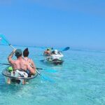 Eco Kayak Excursion in Moorea Lagoon for a Day - The Itinerary in Detail: What You’ll Experience
