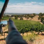 EcoVine Explorer Vineyard E-Cart Tours - A Step-by-Step Look at the Itinerary