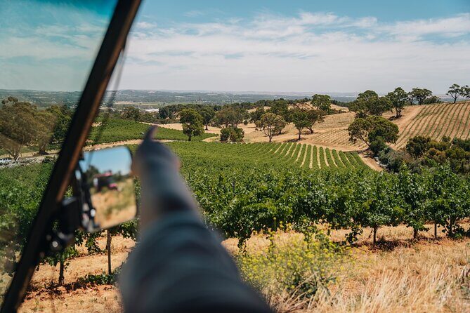 EcoVine Explorer Vineyard E-Cart Tours - A Step-by-Step Look at the Itinerary