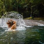 Eden on the River, Snorkeling and Blue Lagoon Adventure - A Detailed Breakdown of the Itinerary
