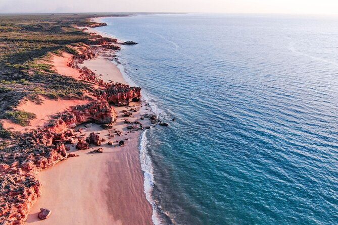 Edgar Ranges and Eco Beach Helicopter Tour with Lunch - Final Thoughts: Who’s This Tour Perfect For?