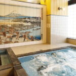 Edo Night: Traditional sento and izakaya with local guide - Who Will Love This Tour