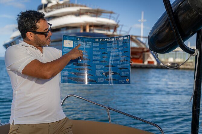 Educational Snorkelling Tour with Lunch - Lagoon DE Tahiti - An In-Depth Look at the Tour