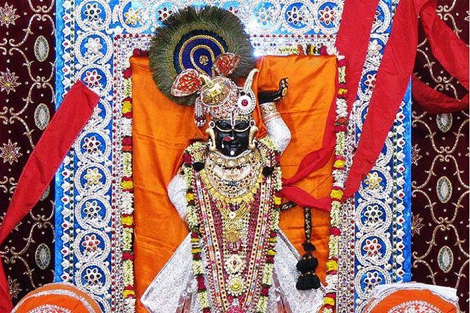 Ekling ji And Nagda (Sahasrabahu Temple) Day Trip - Who Should Consider This Tour?