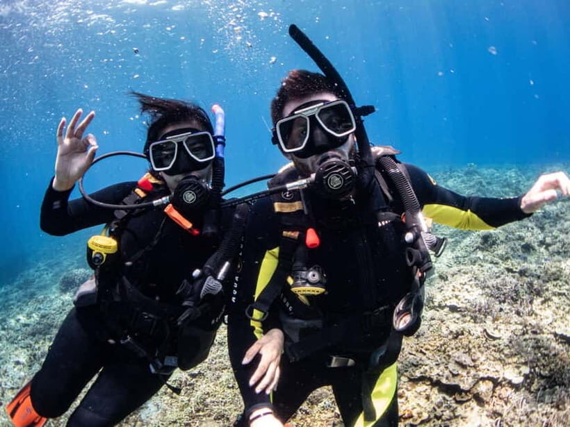 El Nido: Deep Blue Dive Seafari Experience - Who Should Consider This Tour?
