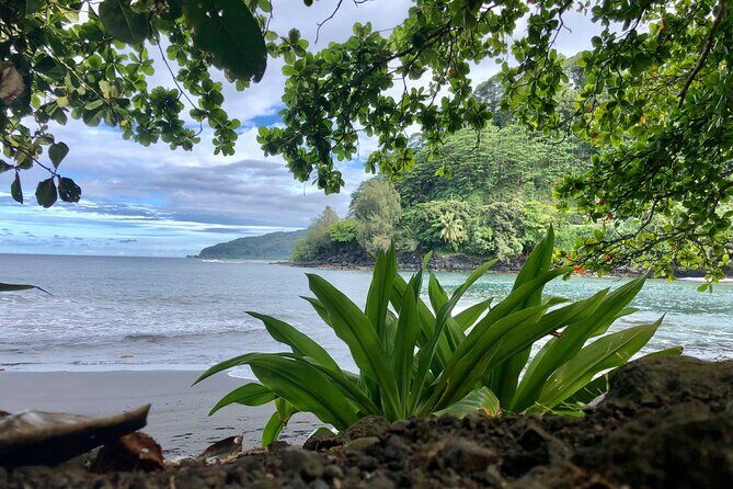 Electric Bike Rental Moorea - An Introduction to the Electric Bike Experience in Moorea