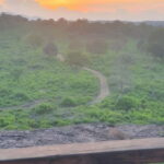 Elephant safari: Minneriya national park elephant safari - Who Is This Tour Best For?