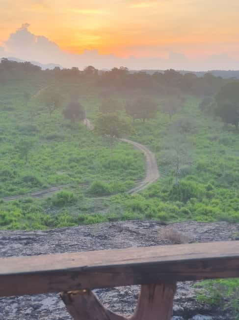 Elephant safari: Minneriya national park elephant safari - Who Is This Tour Best For?