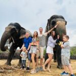 Elephant Sanctuary for Best elephant experience in Jaipur - Who Will Love This Tour?