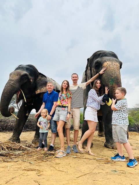 Elephant Sanctuary for Best elephant experience in Jaipur - Who Will Love This Tour?