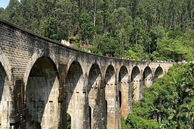 Ella Day Tour with Scenic Train Ride From Hikkaduwa - How Valuable Is This Tour?