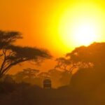 ELLA: Drop to Tangalle/Hiriketiya/Mirissa/Galle & Yala Tour - The Itinerary: What You Can Expect