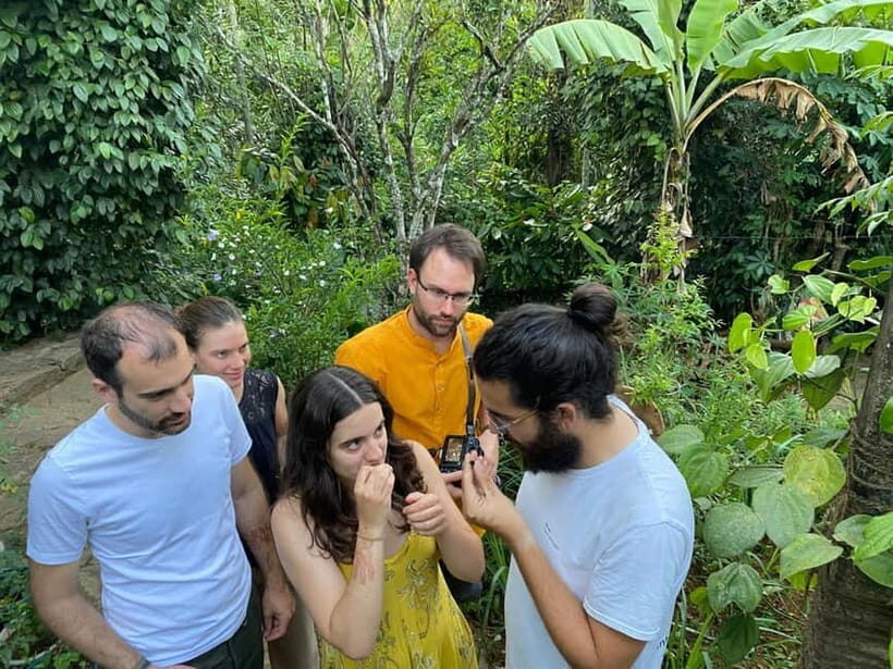 Ella: Nine Arch Spice Garden Tour with Traditional Lunch - The Sum Up: Is It Worth It?
