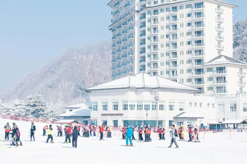 Elysian Ski | Ski Wear+Gear+Moving Walk+Lift+Basic Lesson - What the Reviews Say