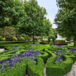 Enchanted Adventure Admission with Lunch - What’s Included and How It Adds Value