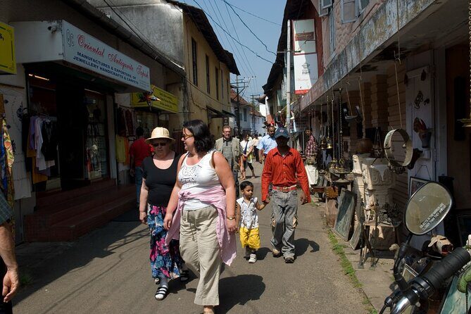 Enchanting Kerala: Tea Estate, Spice Plantation & Backwater Tour - Who Will Love This Tour?
